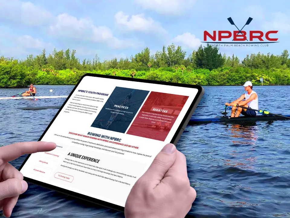 Example5 - VIP TECH CONSULTING - Web Design, Development & Digital ...